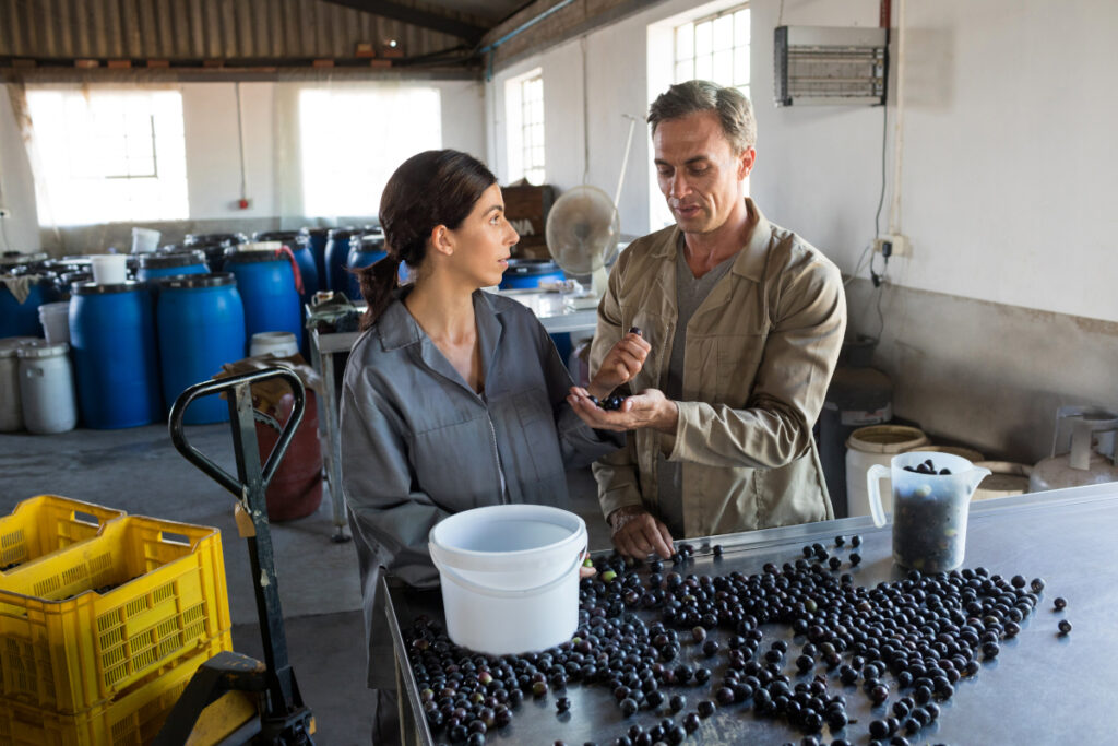 Le succès mondial du vin chilien et la renaissance du carménère, cépage ...